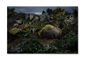 Kilcarrig Rock Art, County Carlow – the Mother of all Cup and Rings ...
