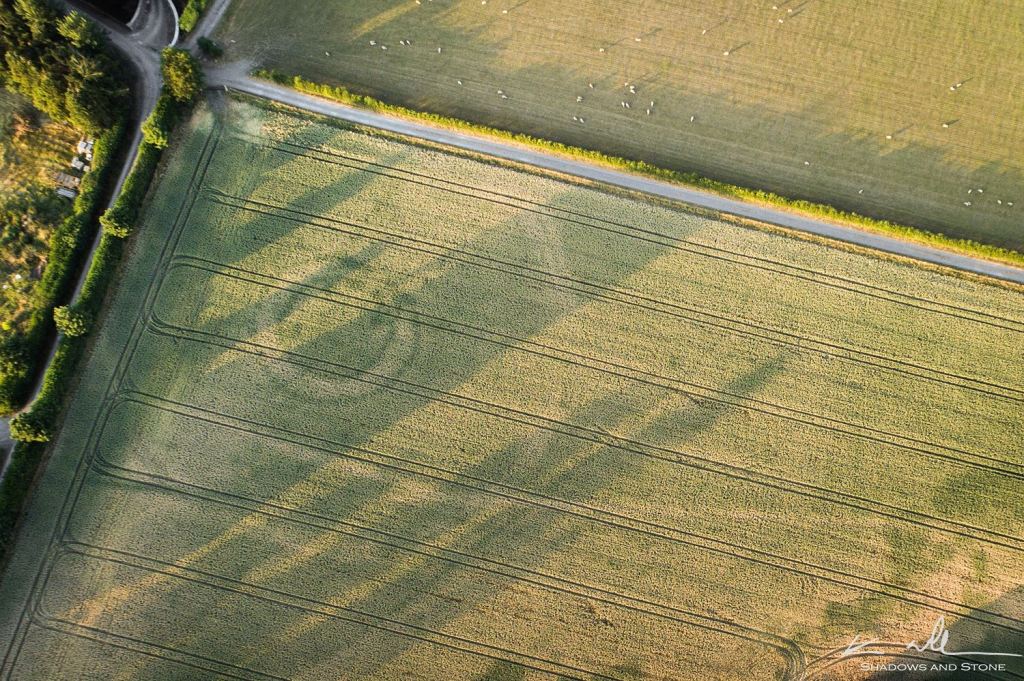 The newly discovered henges and features at Newgrange; some photos ...