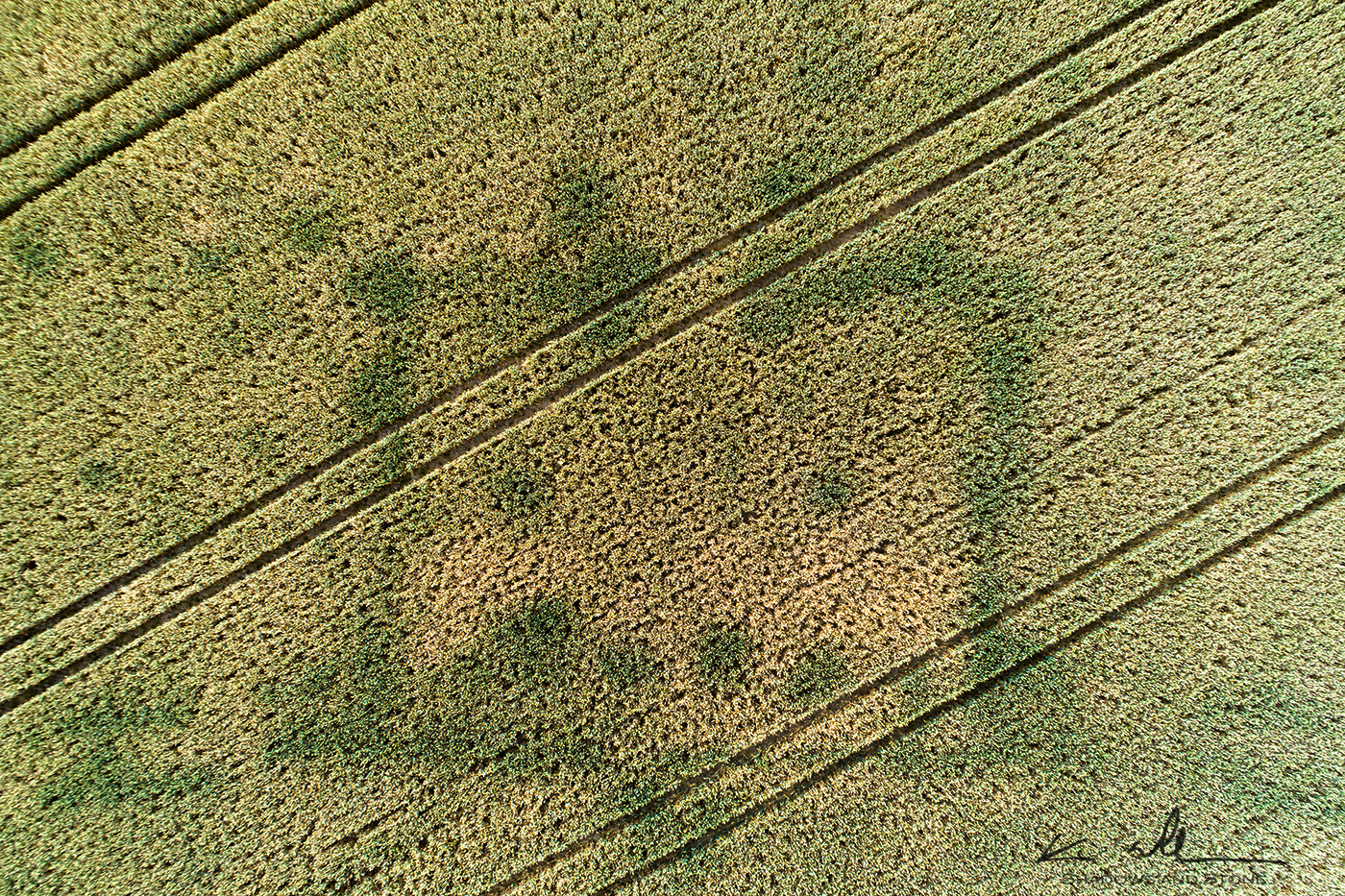 The newly discovered henges and features at Newgrange; some photos ...